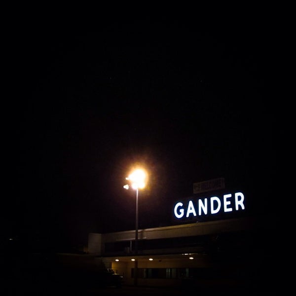 Gander - 170 visitors