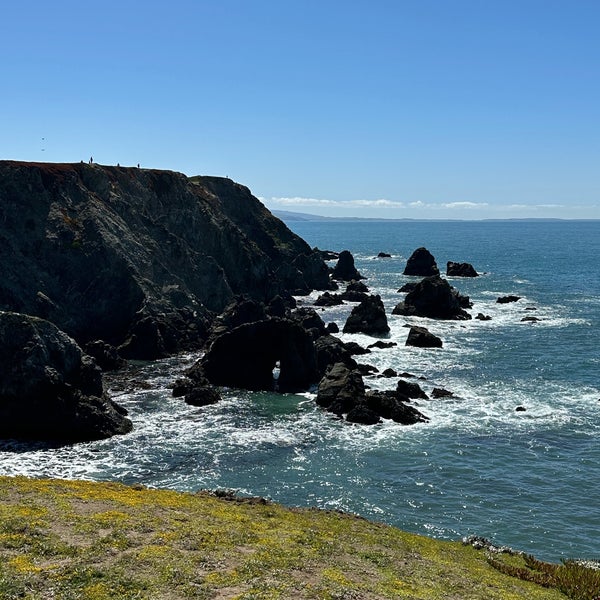 Bodega Head - 11 tips from 1222 visitors