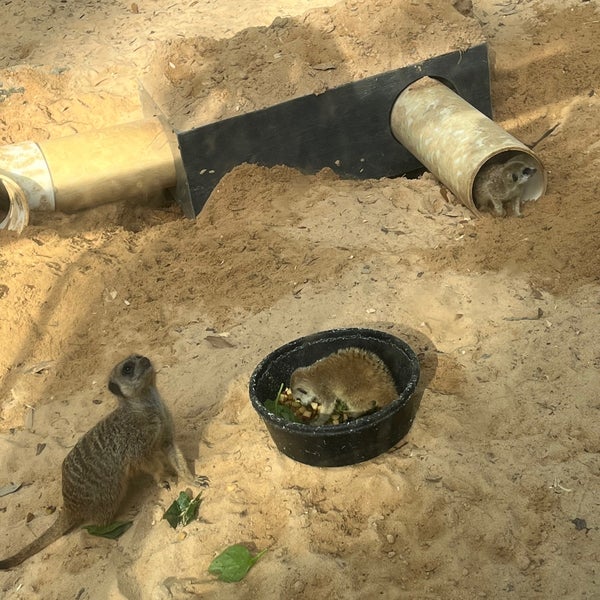 Riverbanks Conservation Outpost - Northwest Columbia - 101 visitors