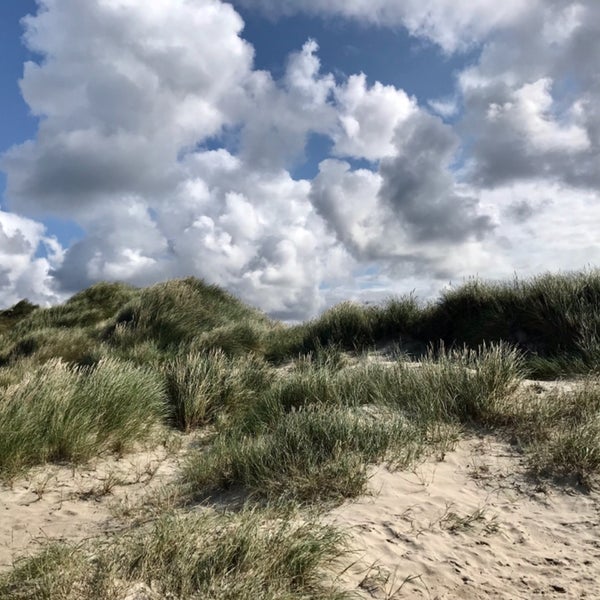 Blokhus Strand - Beach