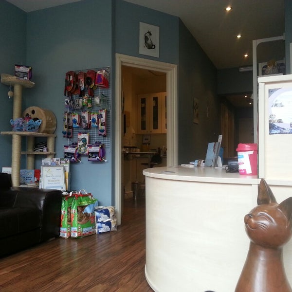 Kitten to Cat - Kew, Greater London