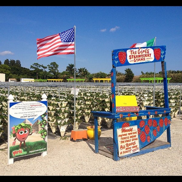 Photos at The Girls Strawberry U-pick - Delray Beach, FL