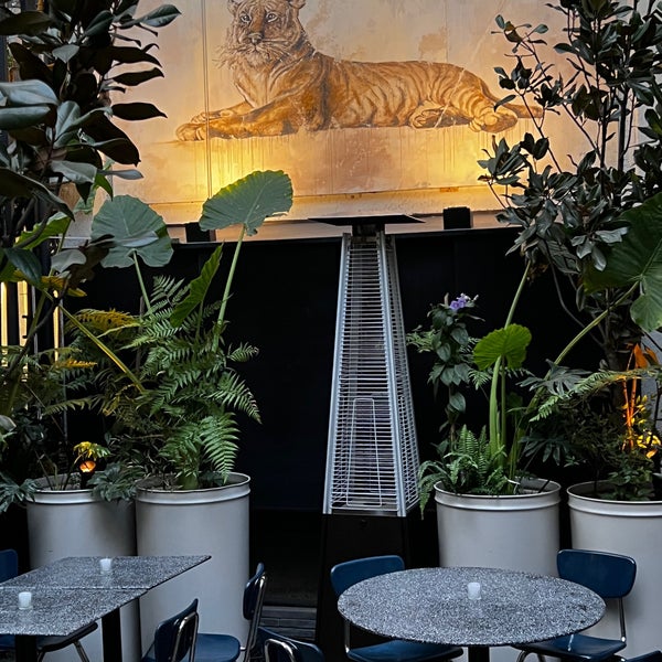 El Tigre Silencioso - Bar in Roma Norte