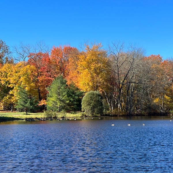 Photos at Twin Brooks Park - Trumbull, CT