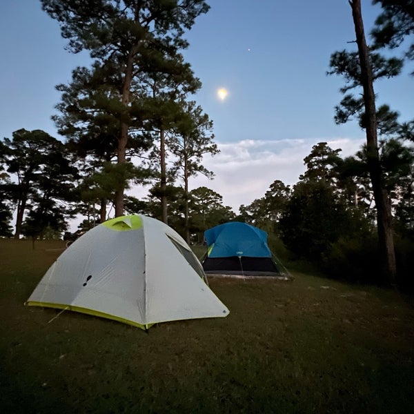 Bastrop State Park - Bastrop, TX