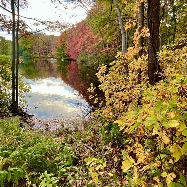 Photos at Twin Brooks Park - Trumbull, CT