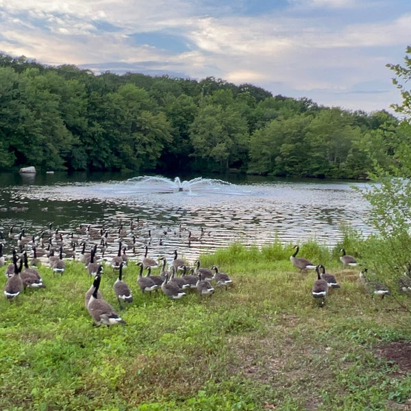 Photos at Twin Brooks Park - Trumbull, CT