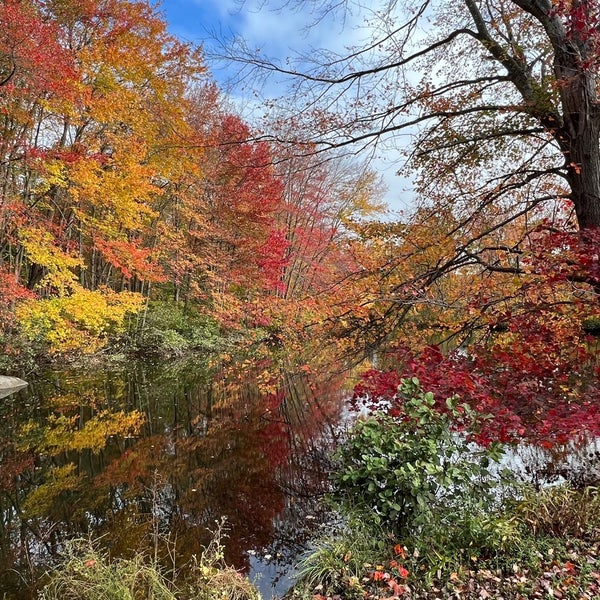 Photos at Twin Brooks Park - Trumbull, CT