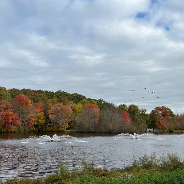 Photos at Twin Brooks Park - Trumbull, CT