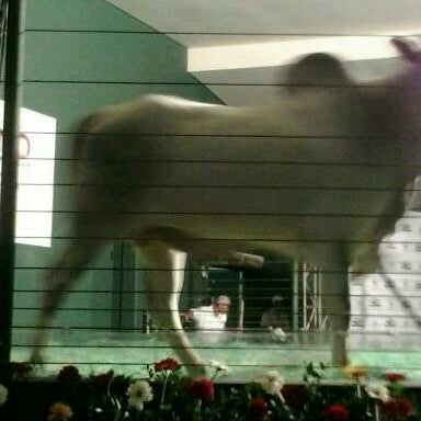 Guide to Janaúba's best spots