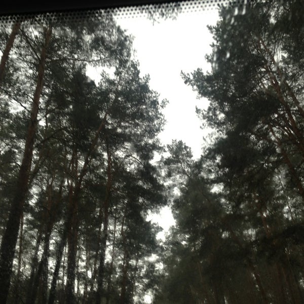 Bad Saarow - 1 tip from 541 visitors