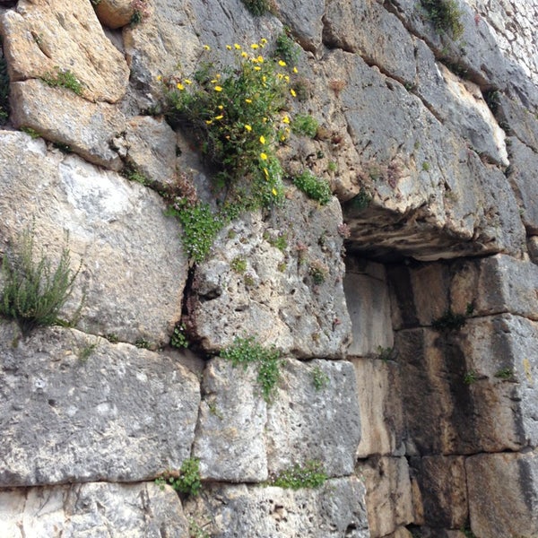 Alatri - 5 tips from 205 visitors