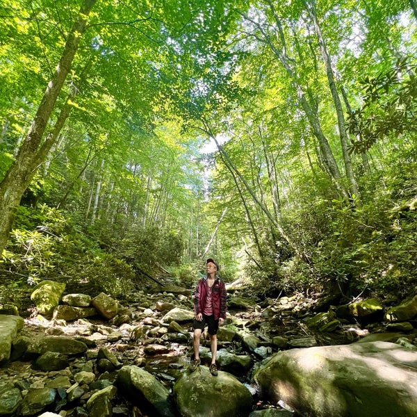 The Devil's Fork - Other Great Outdoors