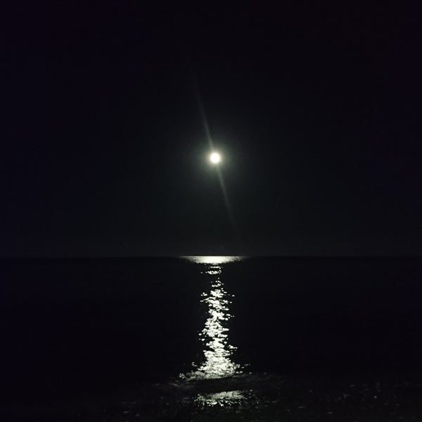 Meneou Beach - Beach
