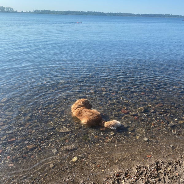 Cherry Beach Off-Leash Dog Area - Port Lands - Toronto, ON