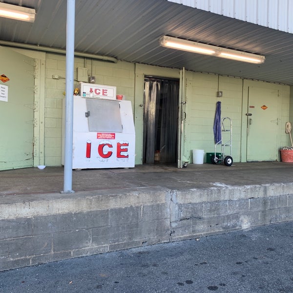 Kool Ice & Seafood - Miscellaneous Store in Cambridge