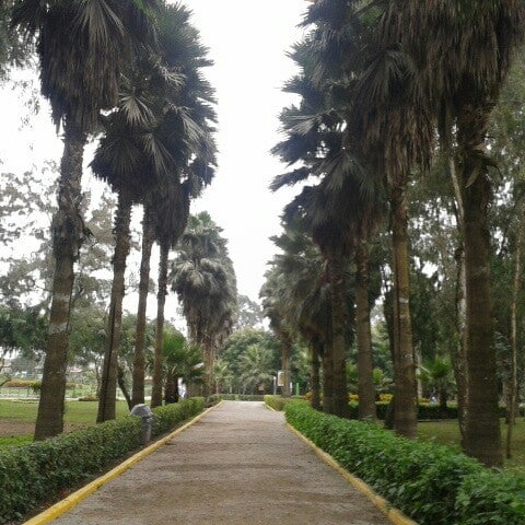 Parque Zonal Huascar - Park