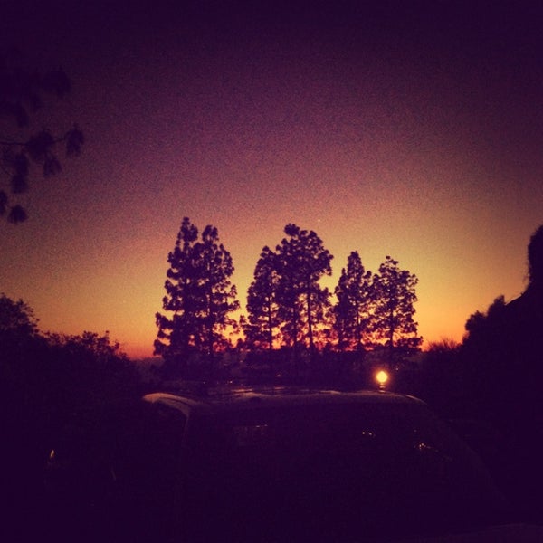 Photos at The George Harrison Tree - 2 tips