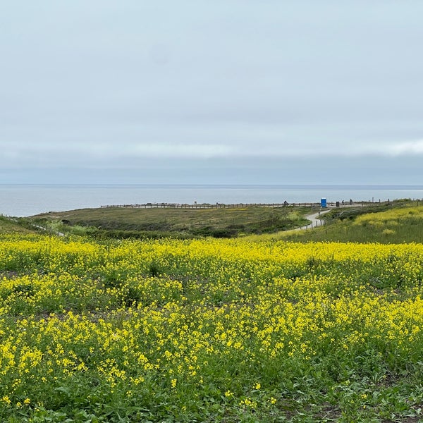 Cowell Ranch Beach & Trailhead - Beach