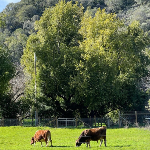 Hidden Villa Farm - 10 tips