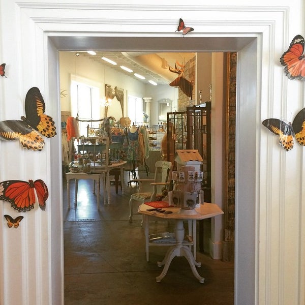 Goldfinch - St. Augustine, FL