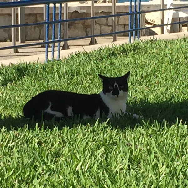 Mandala - Cocktail Bar in Málaga