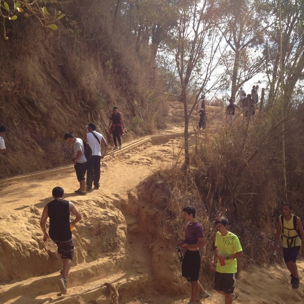 Sabas Nieves - Trail