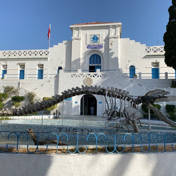 Musée Océanographique de Salammbô | متحف دار الحوت - Carthage - 1 tip