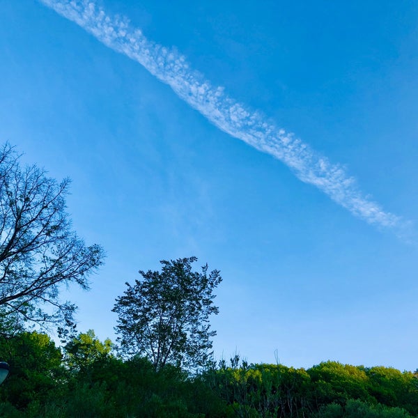 Muscota Marsh - Inwood - West 218th St. and Indian Rd.