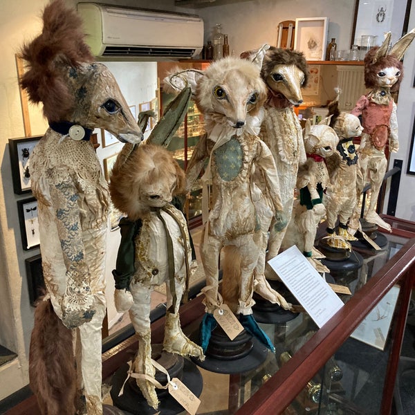 Wunderkammer - Melbourne CBD - Melbourne, VIC