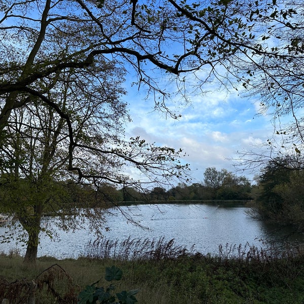 Highgate Men's Bathing Pond - Millfield Ln