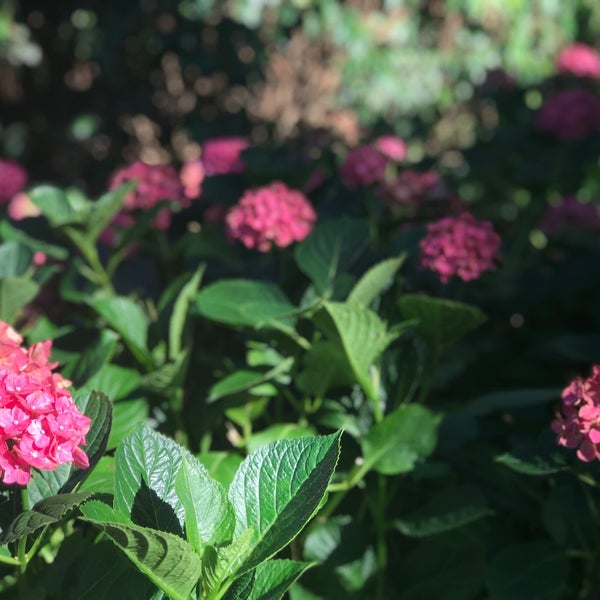 WRAL Gardens - Garden in Raleigh