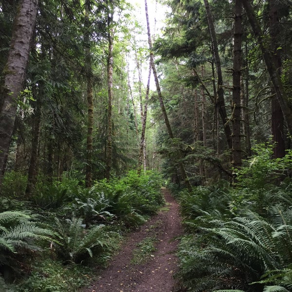 Anderson Lake State Park - State / Provincial Park