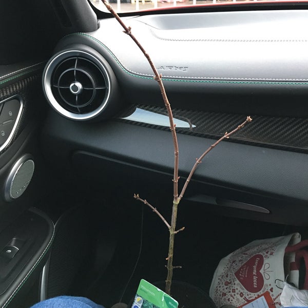 Podington Garden Centre - Garden Center