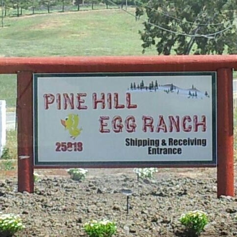 Photos at Pine Hill Egg Ranch - 1 tip from 87 visitors