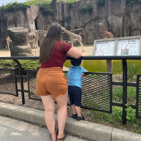 Milwaukee County Zoo - Zoo - 113 tips