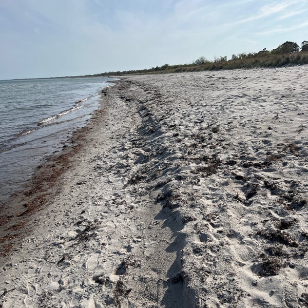 Marielyst Strand - Beach in Marielyst