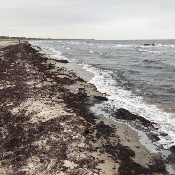 Marielyst Strand - Beach in Marielyst
