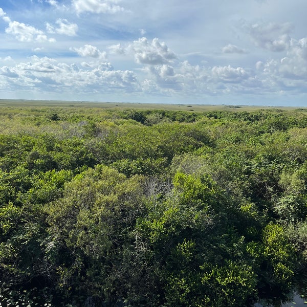 Shark Valley Observation Tower - Shark Valley Loop Rd
