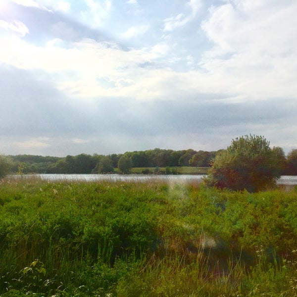 Cosmeston Country Park - Park in Penarth
