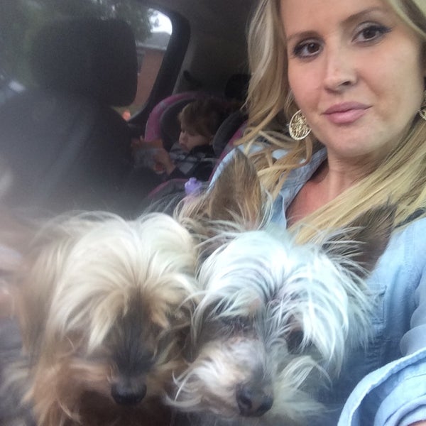 The Snooty Pooch Grooming Spa and Pet Boutique - 1 tip from 19 visitors