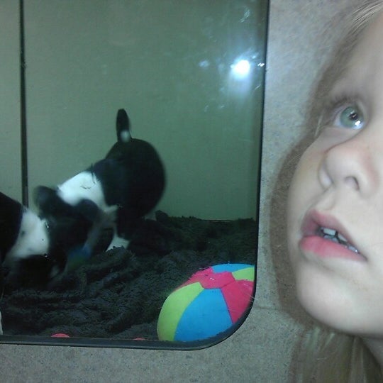 Pets R' Inn - West Acres - Fargo, ND