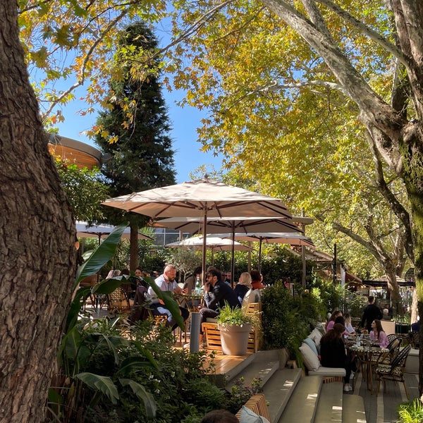 Millennium Garden - Bar in Tirana