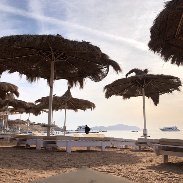 Sharks Bay - Bay in Sharm El Sheikh