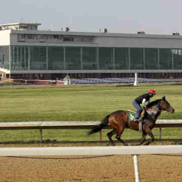 JACK Thistledown Racino - 26 tips