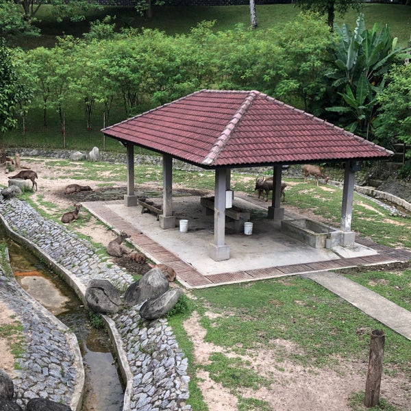 Taman Rusa & Kancil (KL Deer Park) - 9 tips