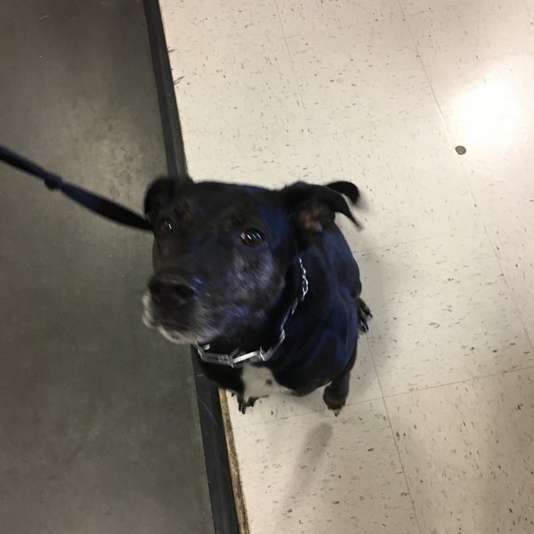 PetSmart - Pet Supplies Store in Hanover