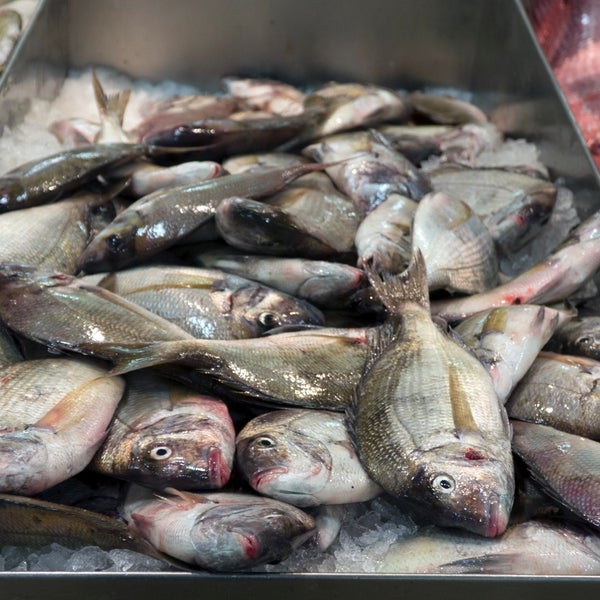Photos at New Fulton Fish Market - 5 tips