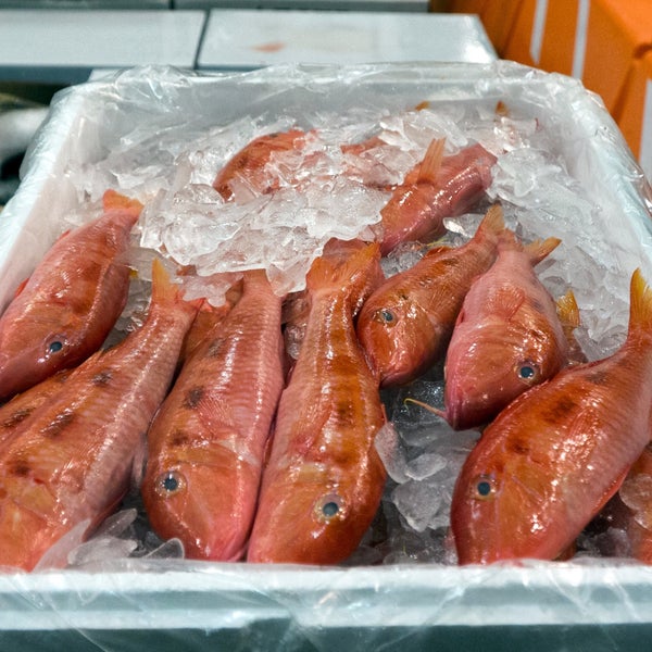 Photos at New Fulton Fish Market - 5 tips