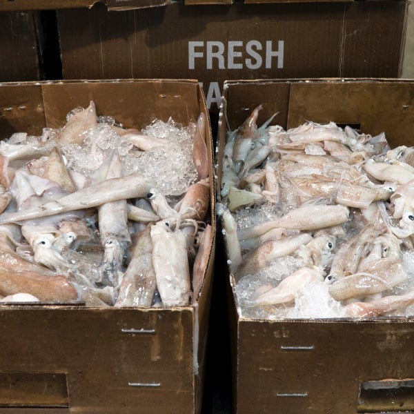 Photos at New Fulton Fish Market - 5 tips